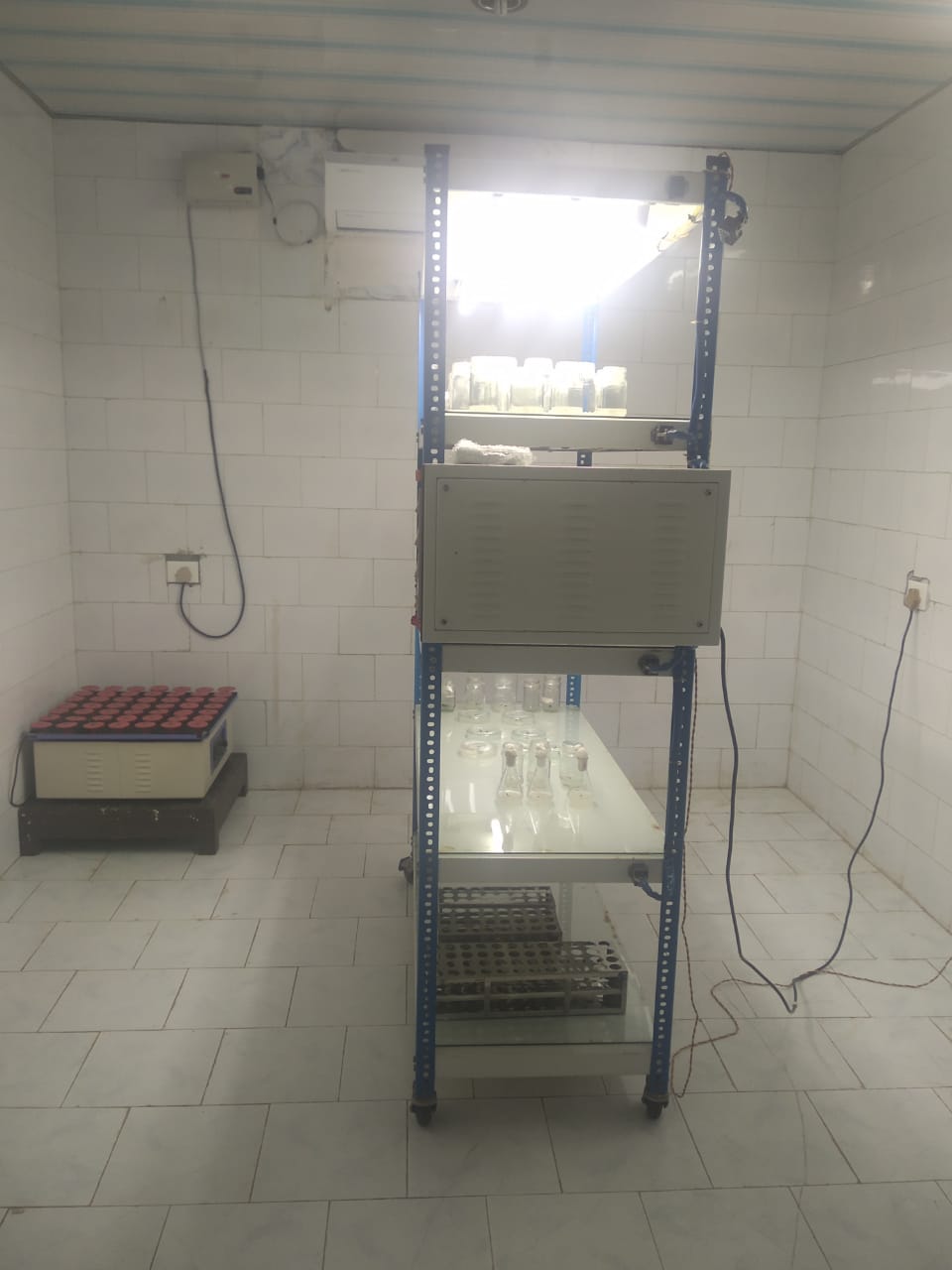 Tissue Culture Lab Setup Cost In India at Jerome Henderson blog