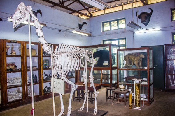 Bishop Moore || Museum